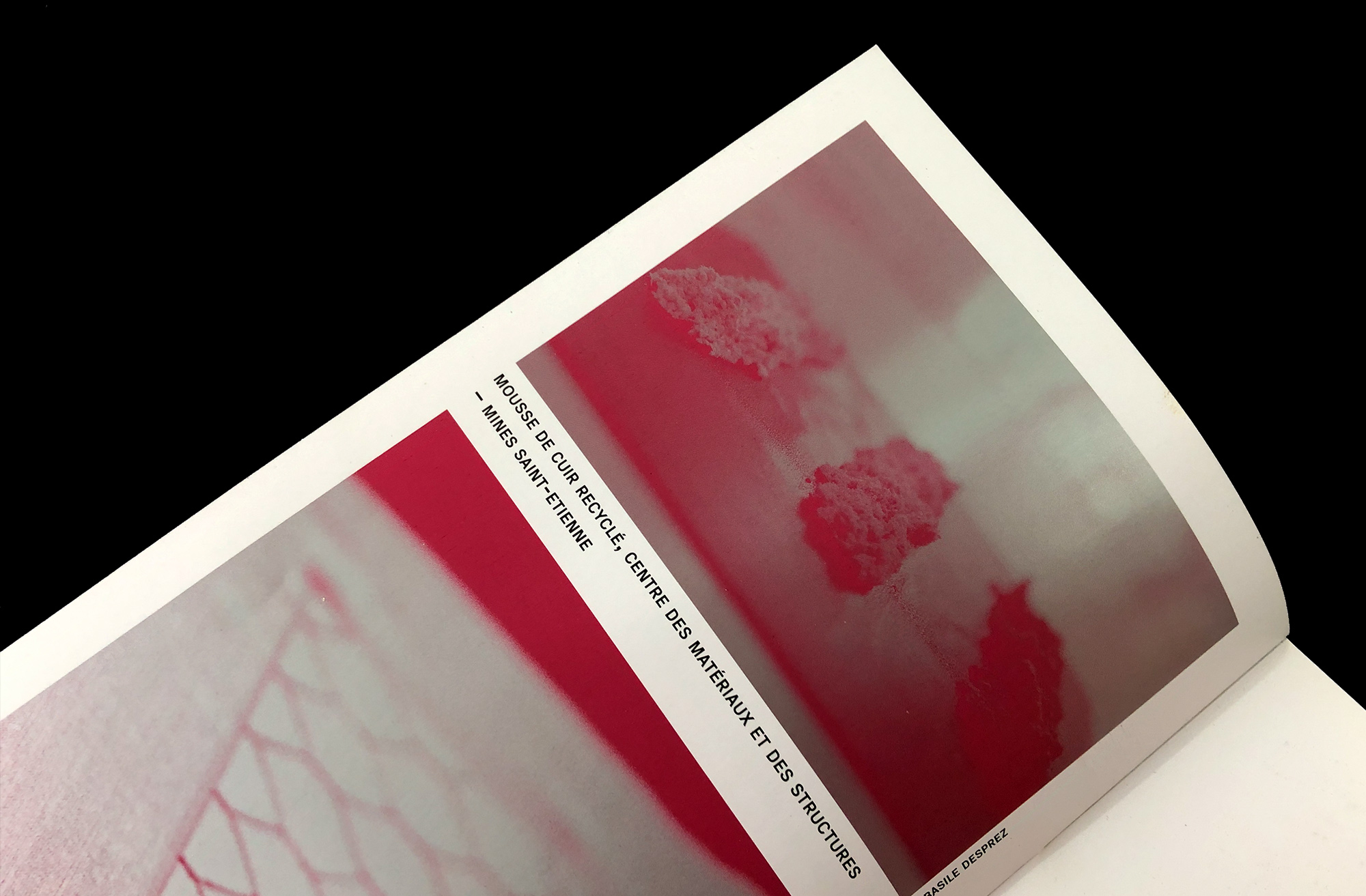 CARATS • STUDIO DOUBLE