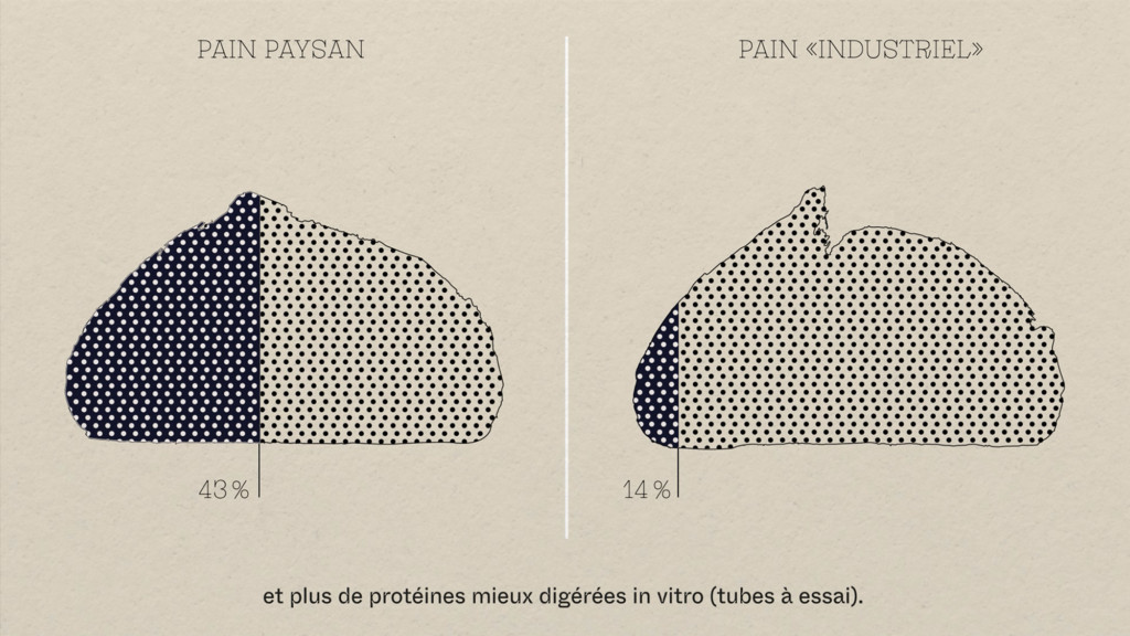 Pain industriel et paysan · Inrae • STUDIO DOUBLE